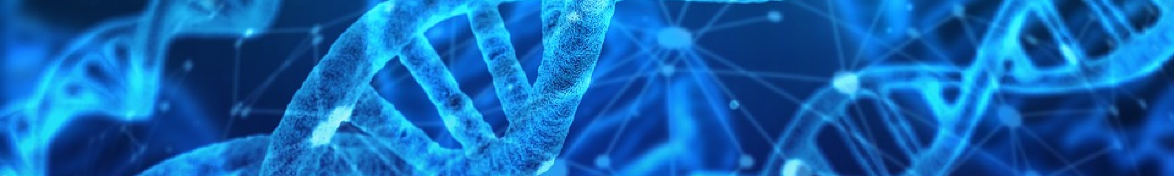 Axe : Génétique et Contrôle Epigénétique - iGReD