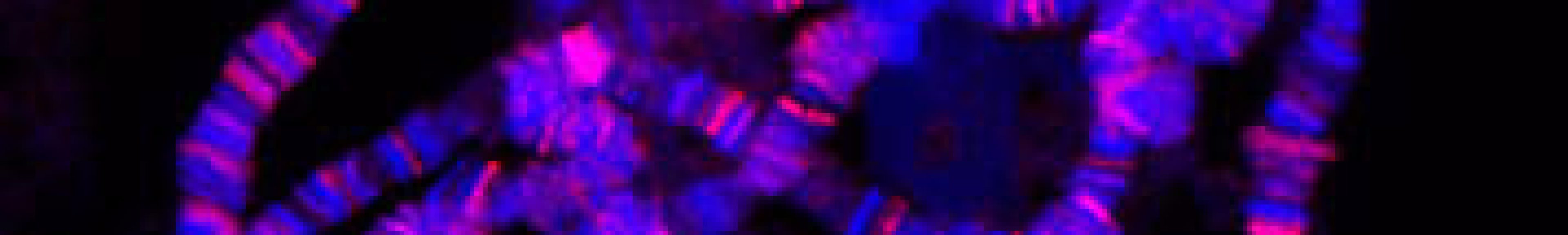 ERO: Epigenetic Regulations & Ontogenesis - iGReD