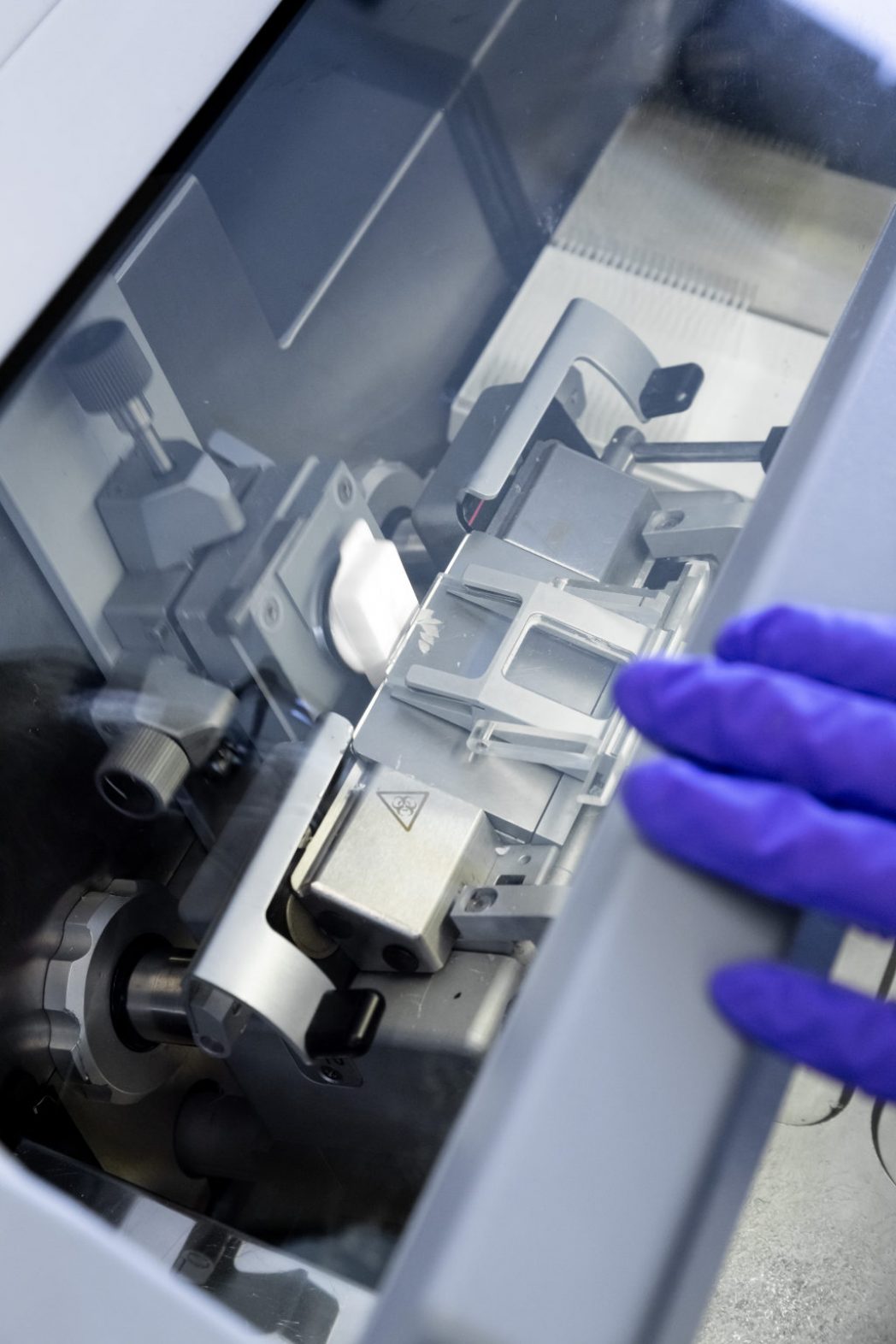 Anipath Histopathologie - iGReD