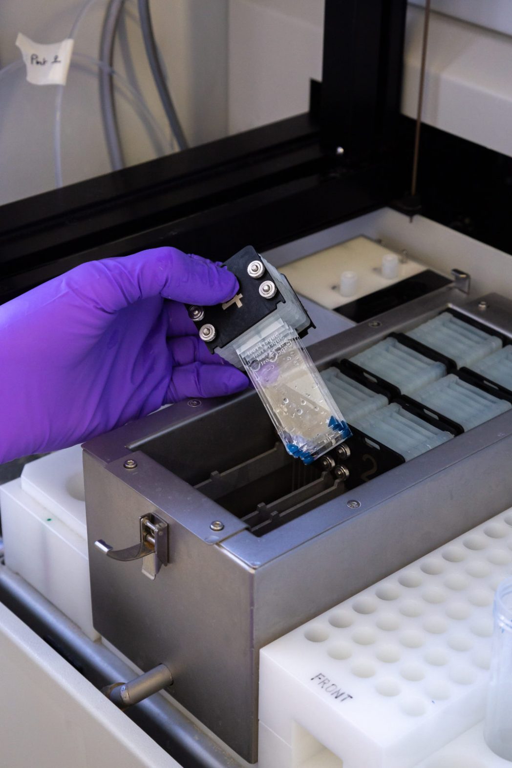 Anipath Histopathologie - iGReD